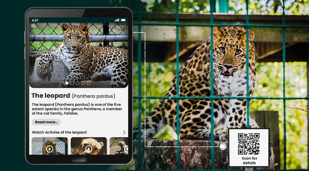 How Advanced Technologies Can Help Zoo's In Enhancing Customer ...