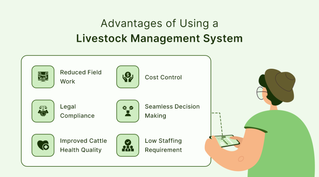 Livestock Management System Guide: Benefits, Uses, and More